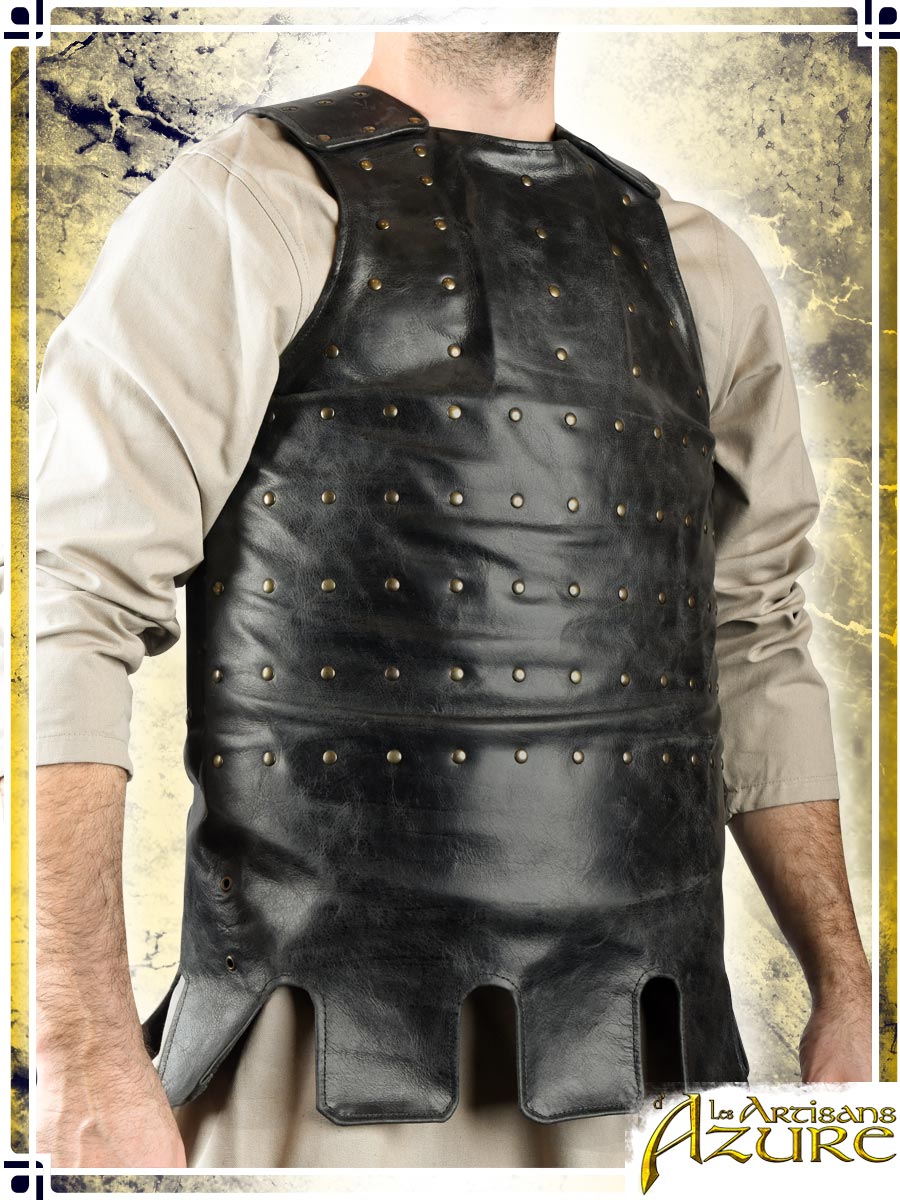 Veteran Visby Coat of Plates – Les Artisans d'Azure