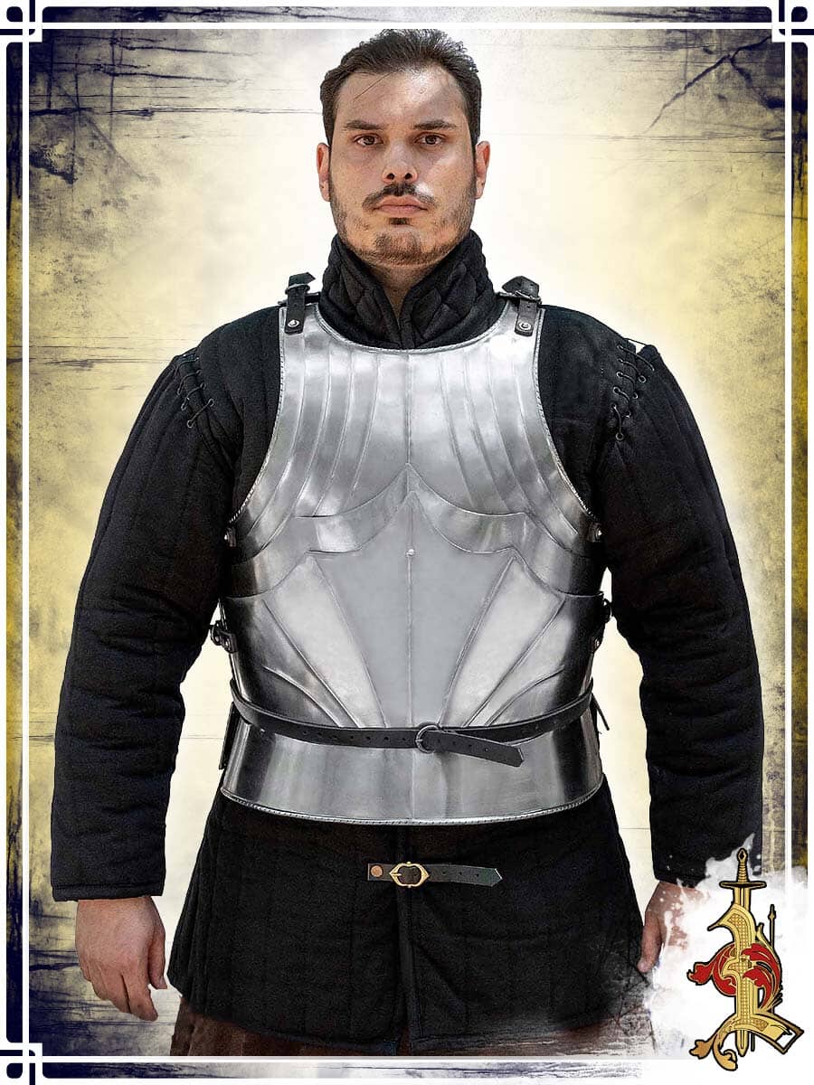 18ga Gothic LARP Plate Armor by Lord of Battles – Les Artisans d'Azure